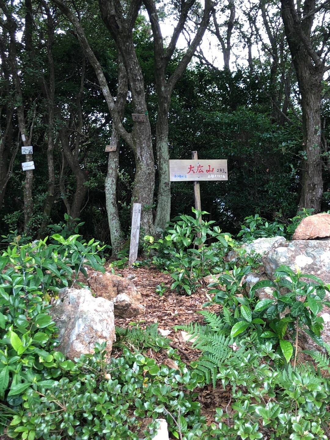 大広山 293m (低山巡り) 南伊勢町 / isisさんの南伊勢町の活動データ | YAMAP / ヤマップ