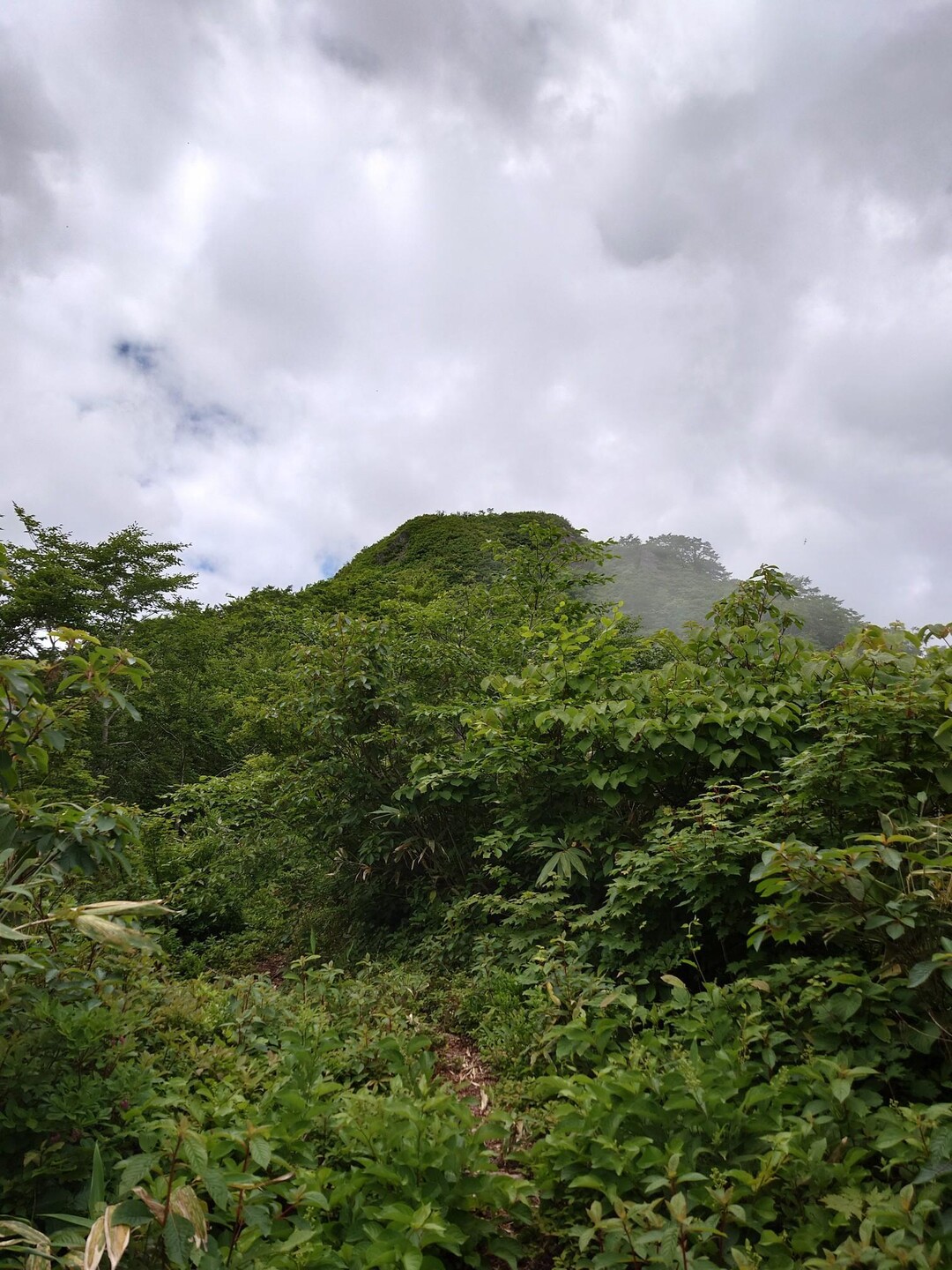 アカモノに魅せられて 白髪山・最上カゴ / rukyさんの船形山（御所山）・泉ヶ岳・蛇ヶ岳の活動データ | YAMAP / ヤマップ