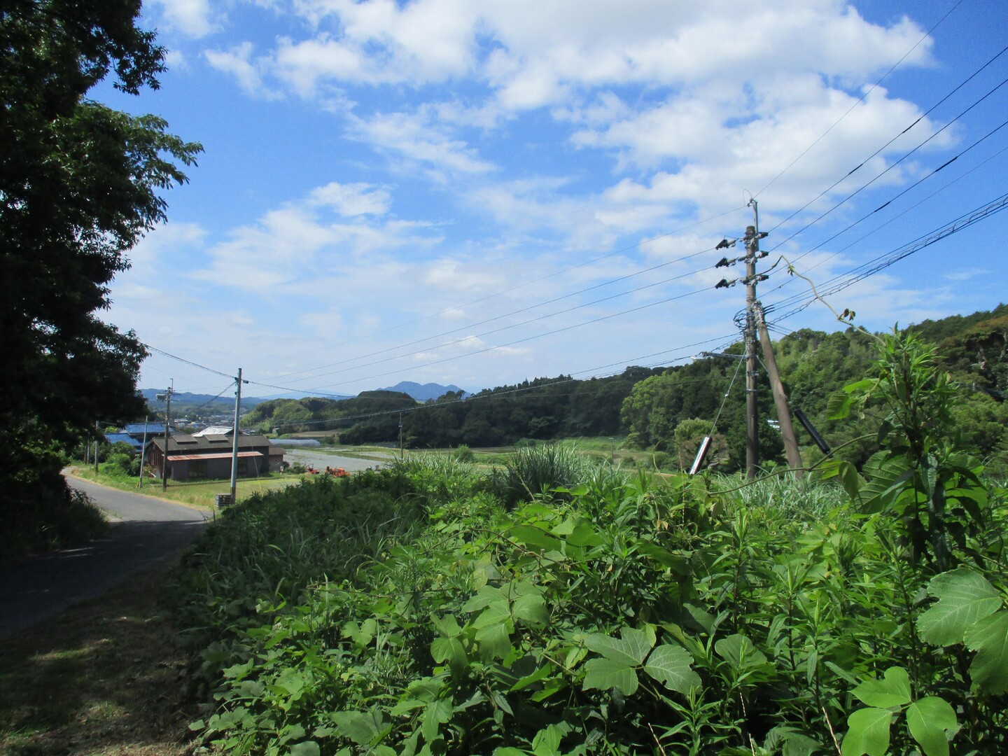 定点写真シリーズ。空気が澄んでいる日は遠... / Solidaさんのモーメント | YAMAP / ヤマップ