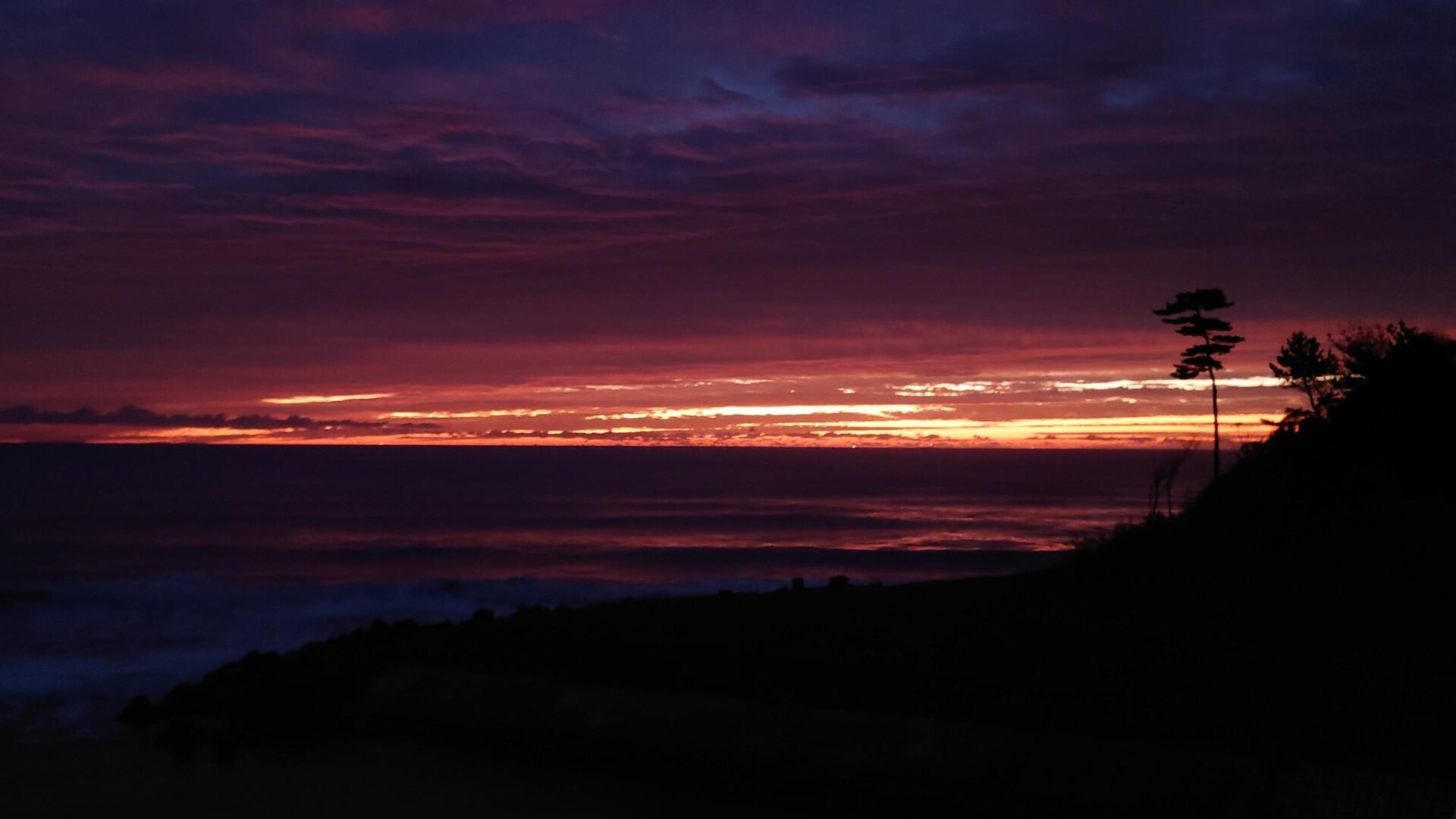久しぶりの朝ウォーキングでご褒美！ / いそっちゃさんのモーメント | YAMAP / ヤマップ