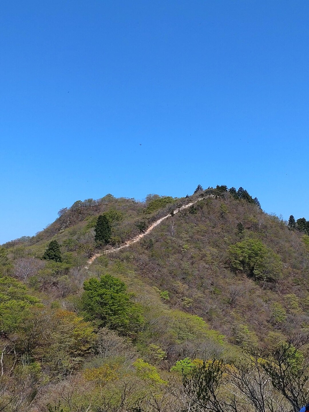 小貝月山・貝月山 / hana0910さんの貝月山の活動データ | YAMAP / ヤマップ