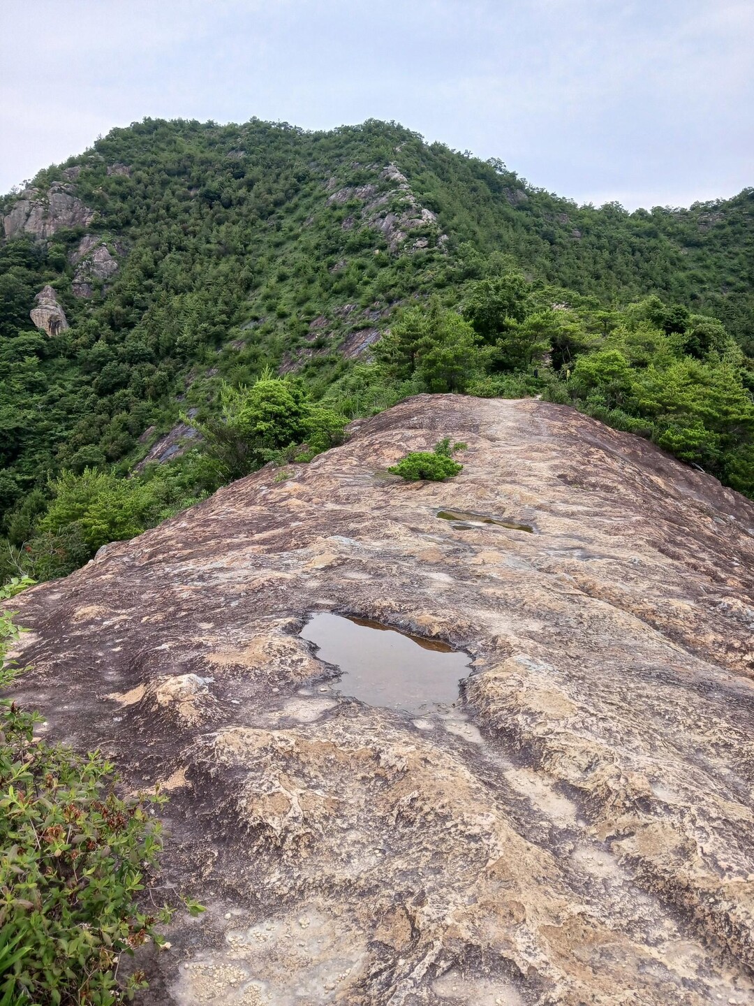 高御位山⑦ / つばくろJr.さんの高御位山・播磨アルプスの活動データ | YAMAP / ヤマップ