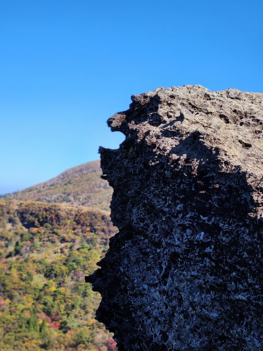 LOVE ME KARAKUNIDAKE / しんさんの登山の活動データ | YAMAP / ヤマップ