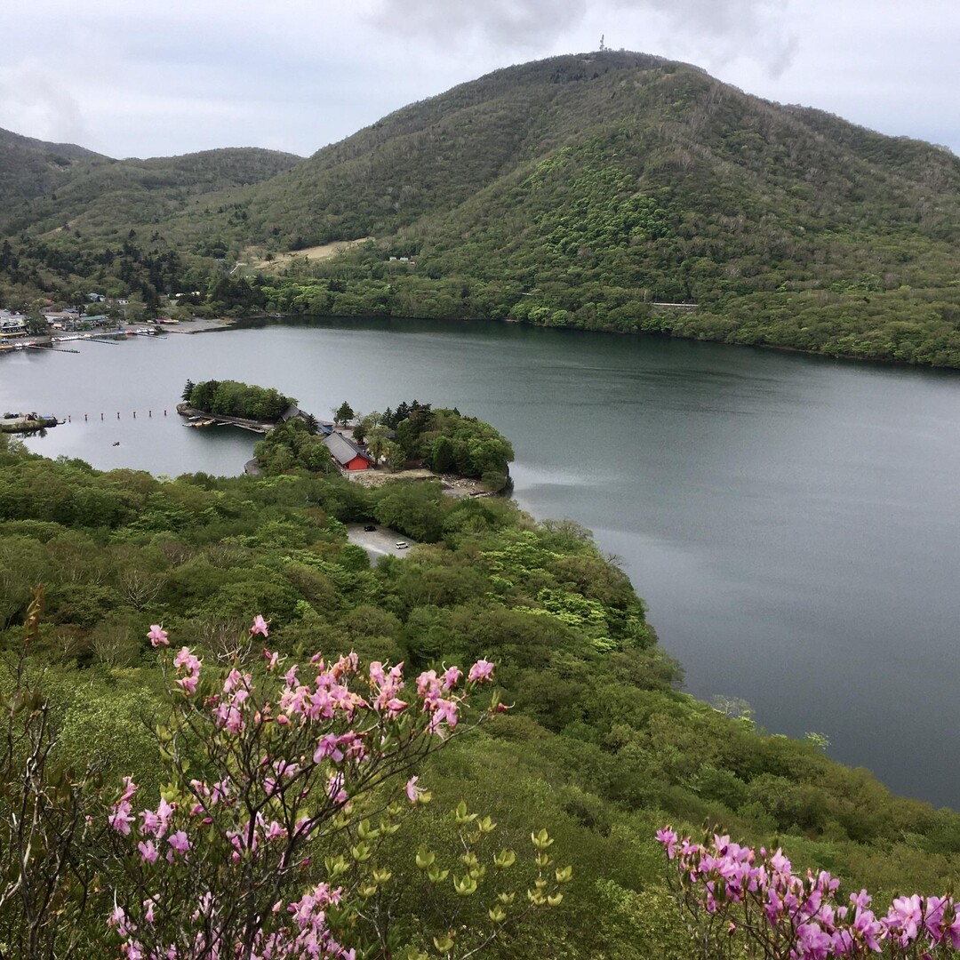 ツツジ満開 ️黒檜山 / michyさんの赤城山・黒檜山・荒山の活動データ | YAMAP / ヤマップ