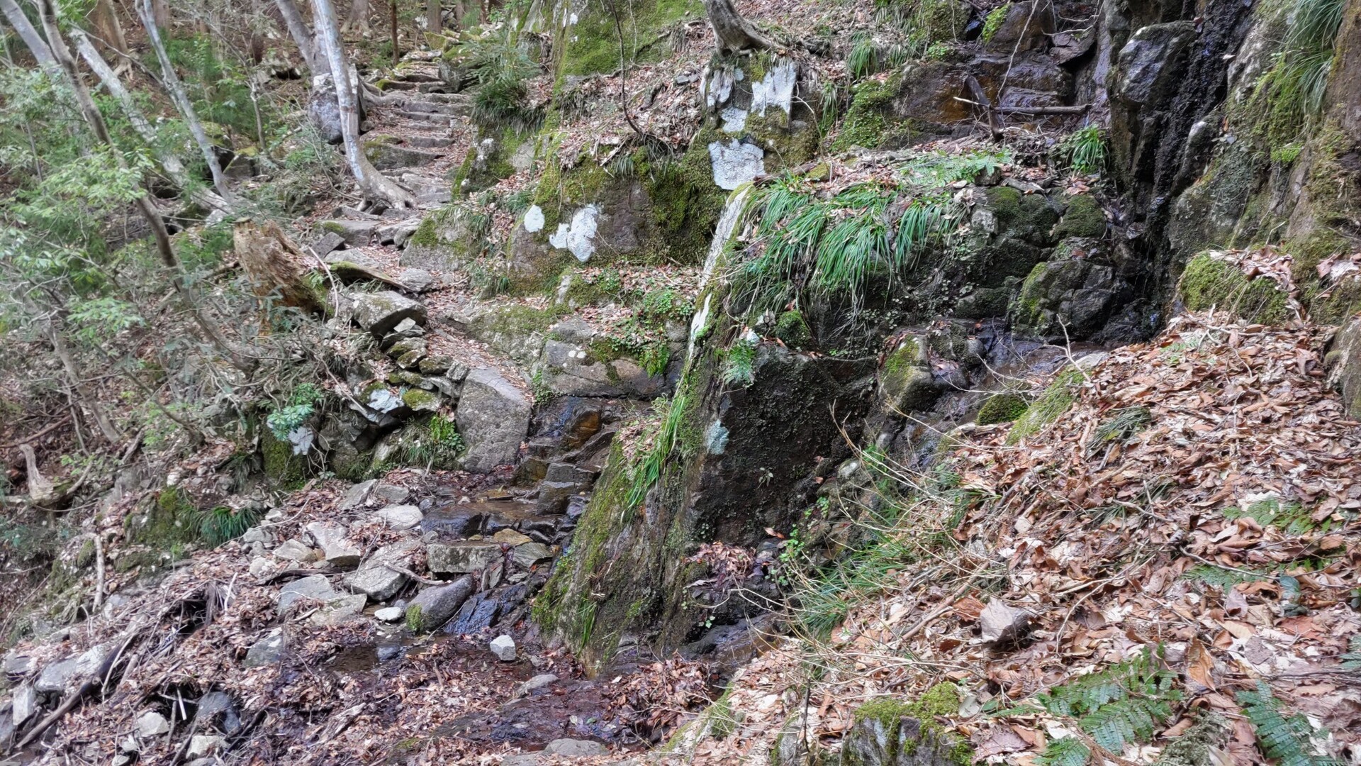 Nakachanさんの投稿したフィールドメモ | YAMAP / ヤマップ