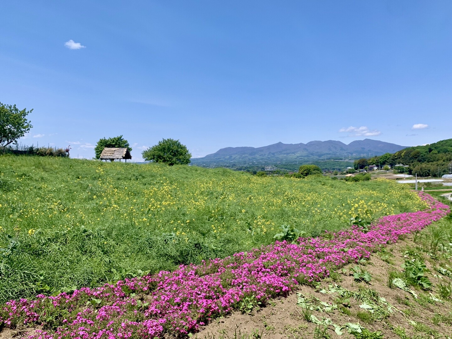 鹿田山フットパス / hit-omiさんの鹿田山の活動データ | YAMAP / ヤマップ