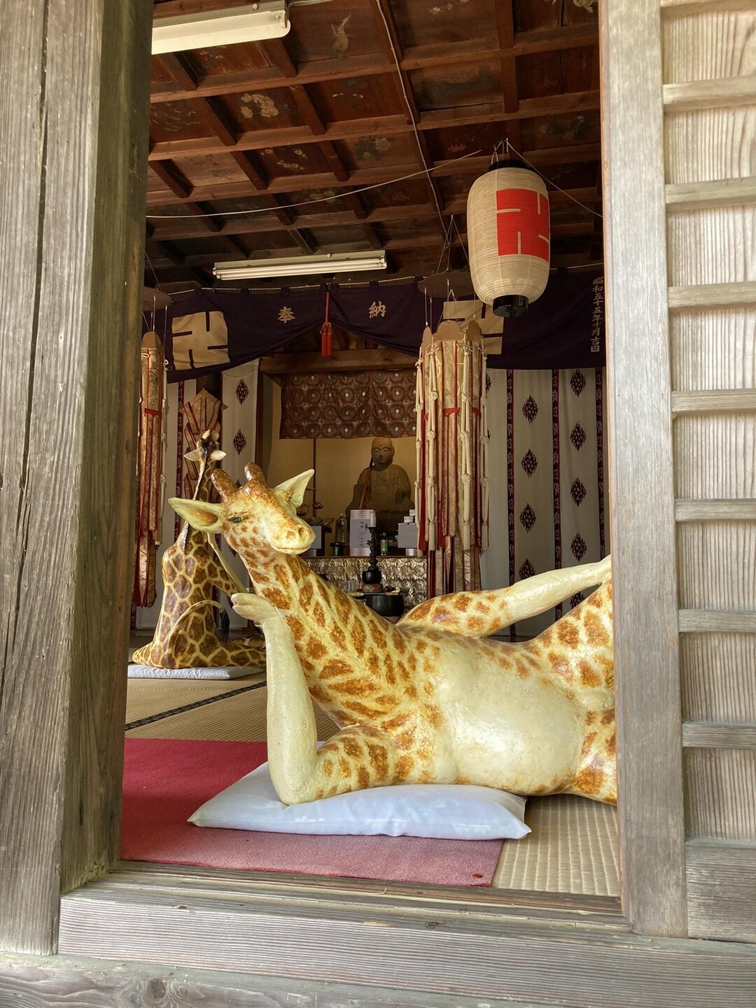 四国遍路-53日目 / Aokatiさんの四国遍路その19の活動データ | YAMAP / ヤマップ