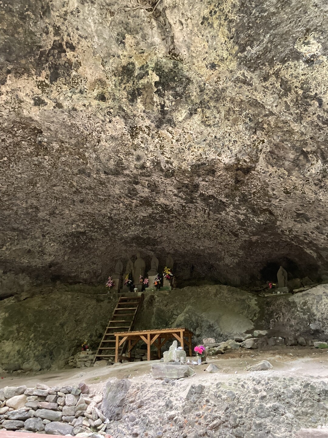 hiyoさんの投稿したフィールドメモ | YAMAP / ヤマップ