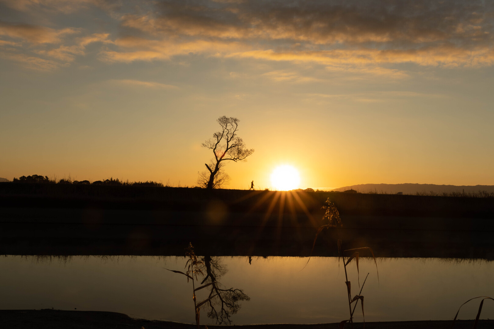 2022年 初登りはもちろん基山 / daisagan さんの天拝山・基山の活動データ | YAMAP / ヤマップ
