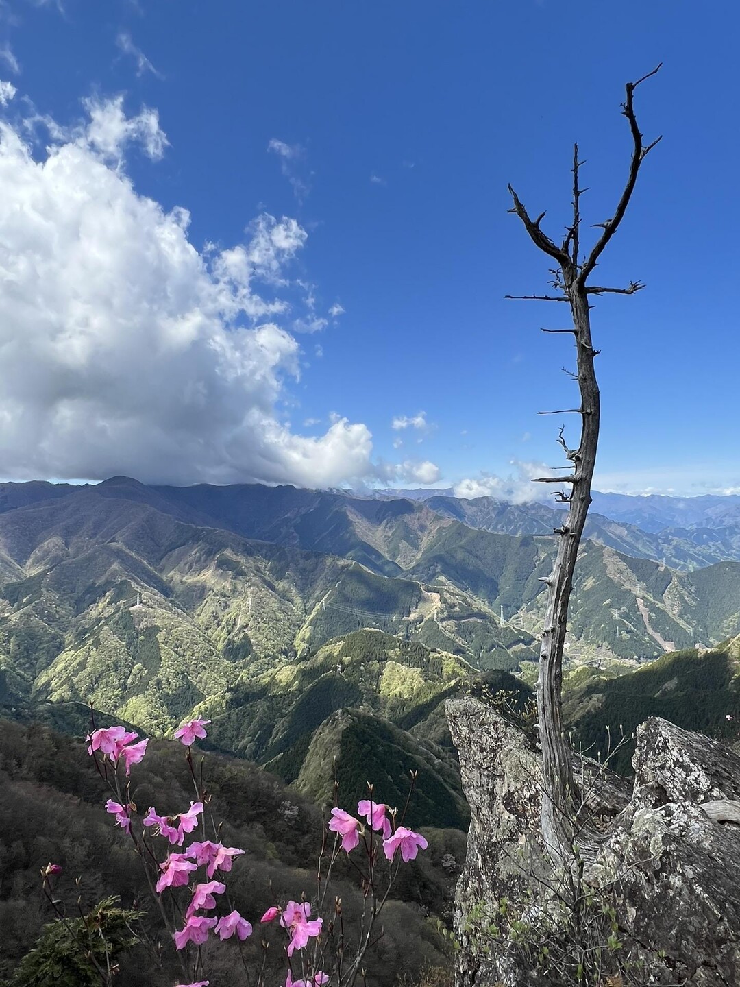 2023.4.16.武甲山・小持山・大持山 / yuumin222.さんの武甲山・伊豆ヶ岳・小持山の活動データ | YAMAP / ヤマップ