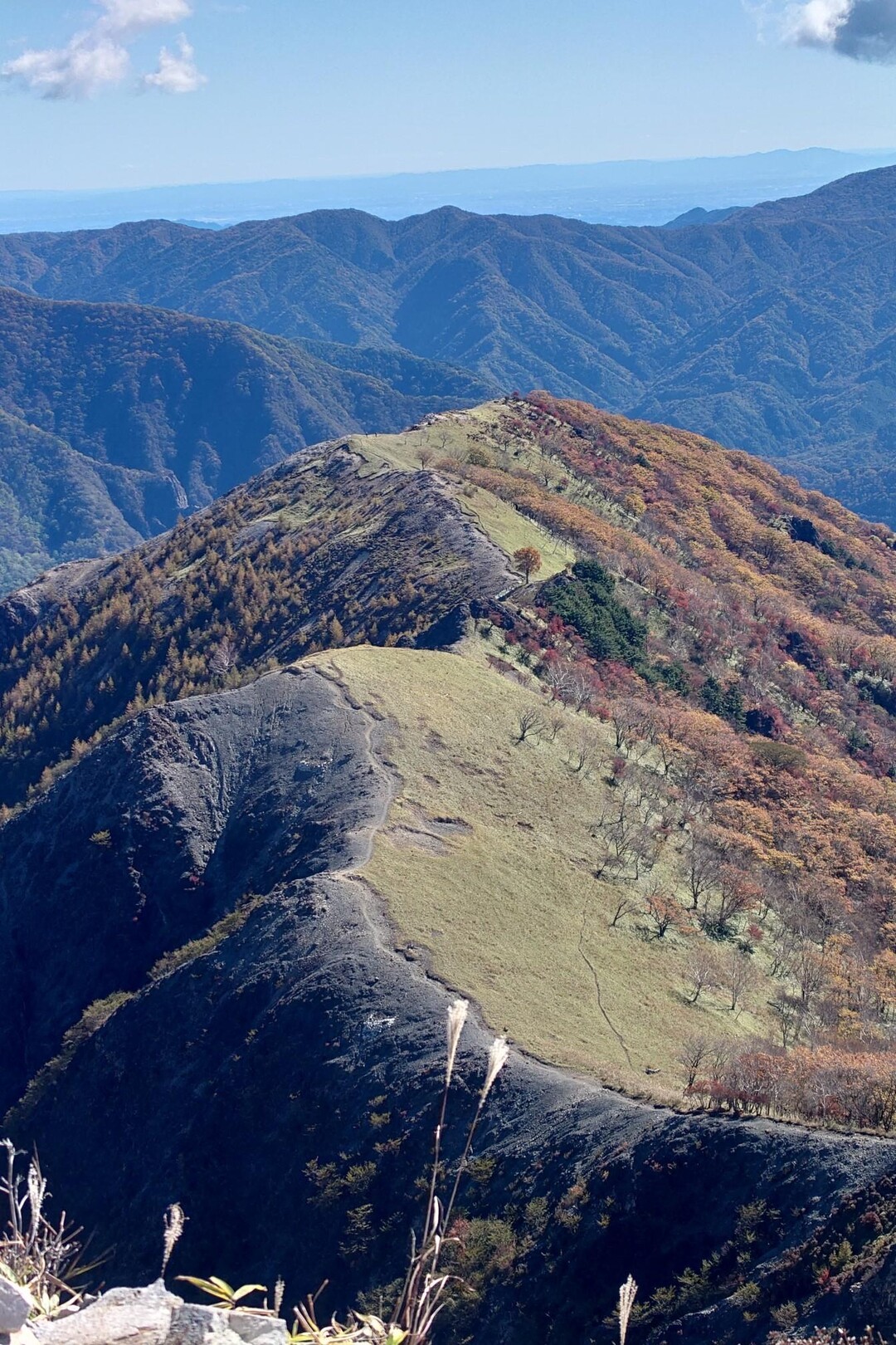 中倉山・沢入山 / ka-nyaさんの皇海山・袈裟丸山・庚申山の活動データ | YAMAP / ヤマップ