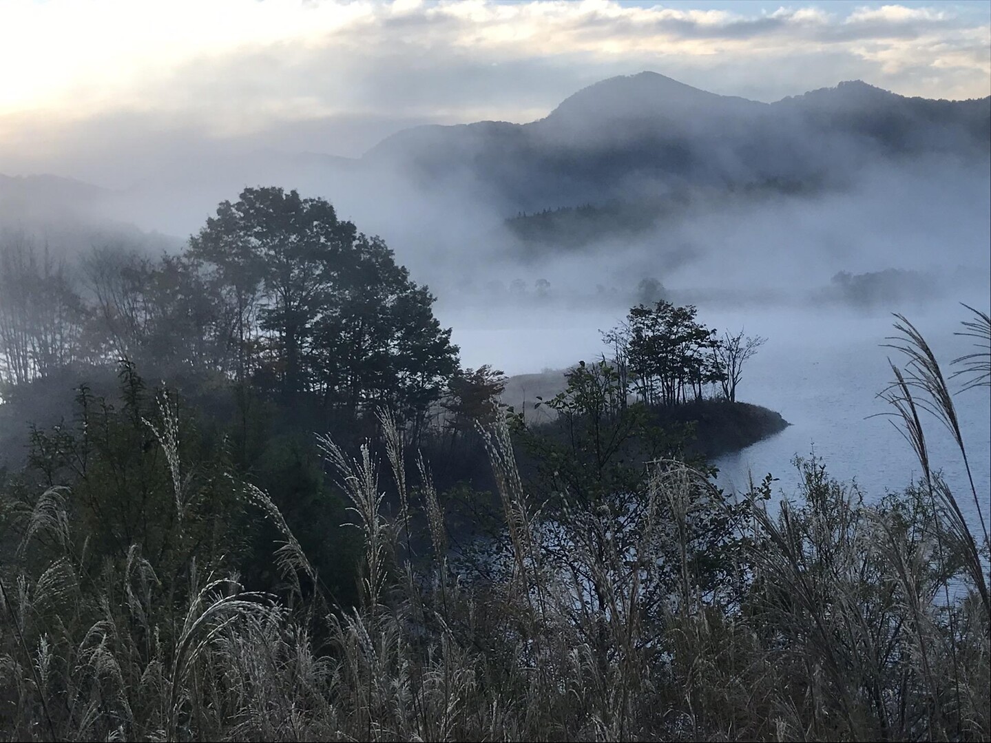 小胡桃山・大胡桃山 / さちGさんの奥州市（西エリア）の活動データ | YAMAP / ヤマップ