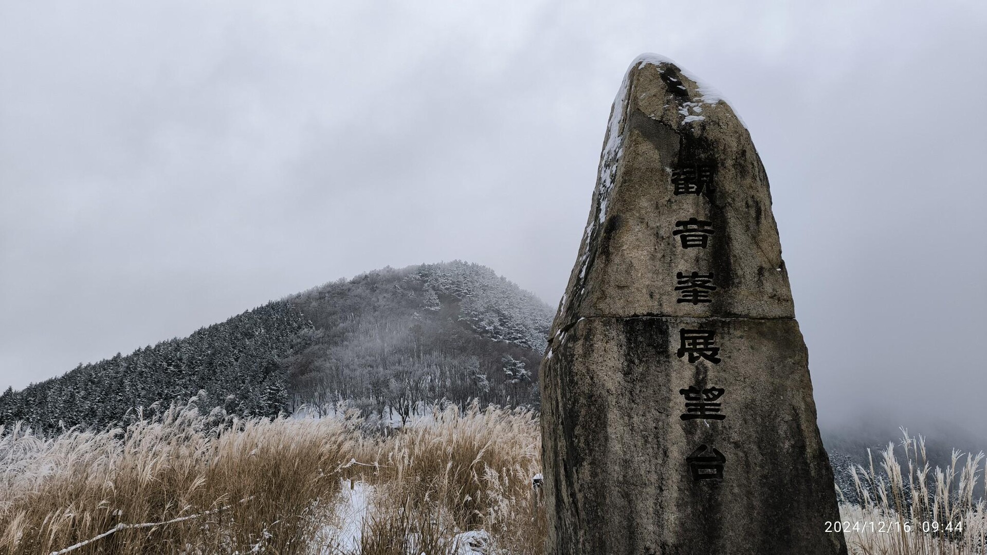 R6.12.16 観音峯山 / クーちゃんさんさんの観音峯山・大普賢岳・山上ヶ岳・稲村ヶ岳の活動データ | YAMAP / ヤマップ
