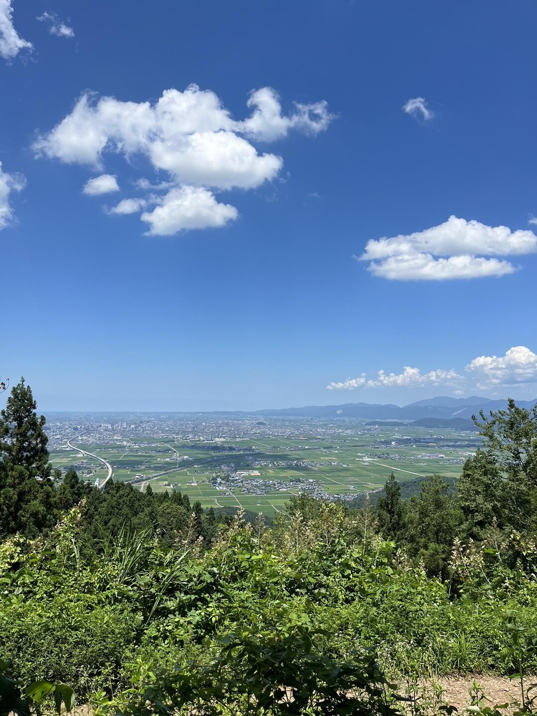 文殊山-2023-07-17 / TKSさんの文殊山の活動データ | YAMAP / ヤマップ