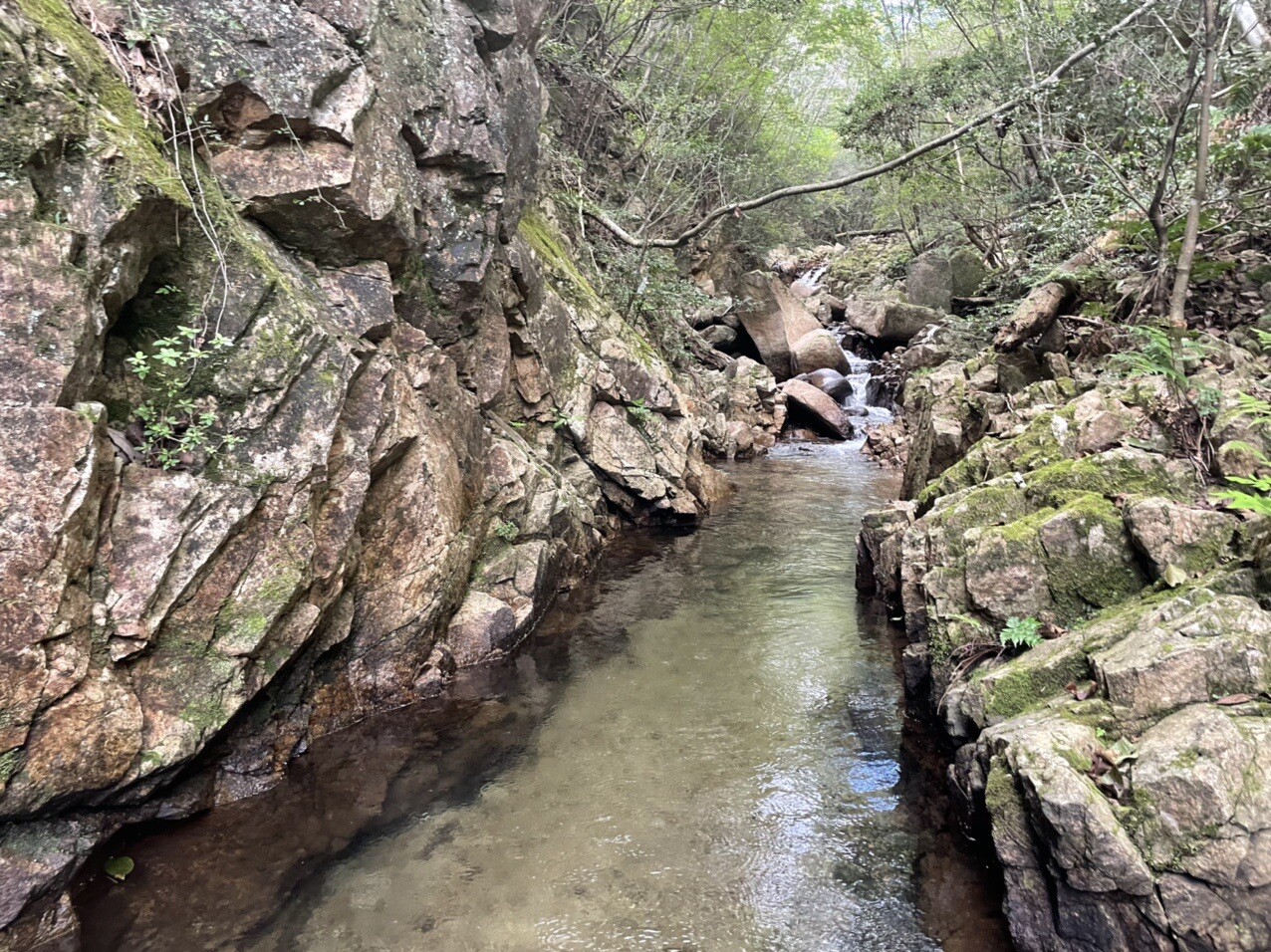 DJの山行記録78 / DJさんの六甲山・長峰山・摩耶山の活動データ | YAMAP / ヤマップ