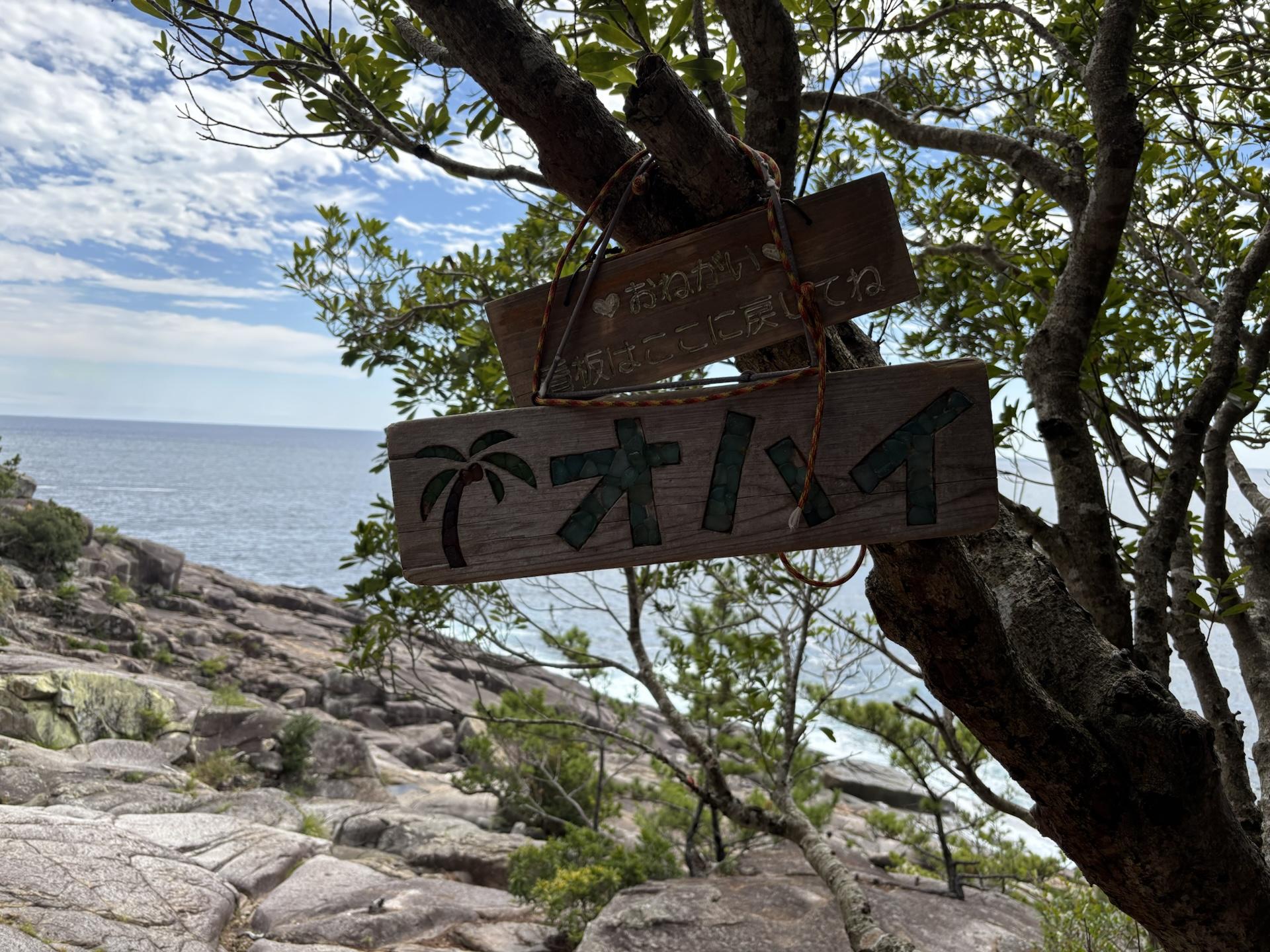 頂山 / taさんの八鬼山・頂山・オハイの活動データ | YAMAP / ヤマップ