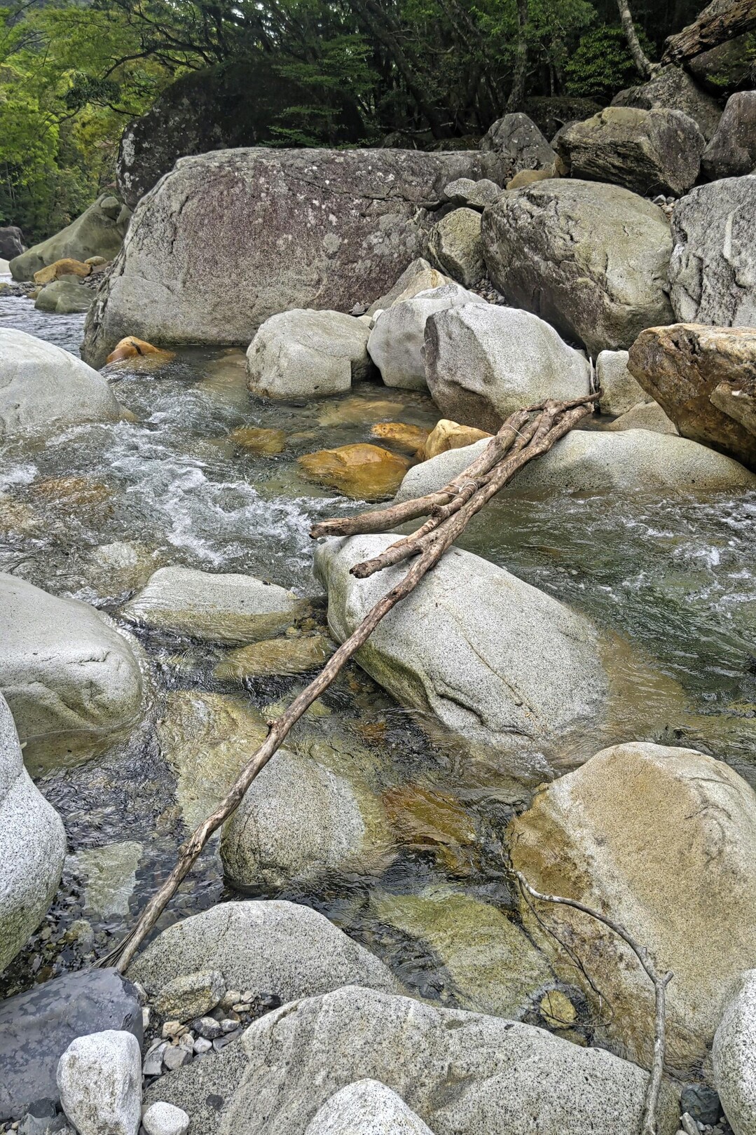 DSIさんの投稿したフィールドメモ | YAMAP / ヤマップ