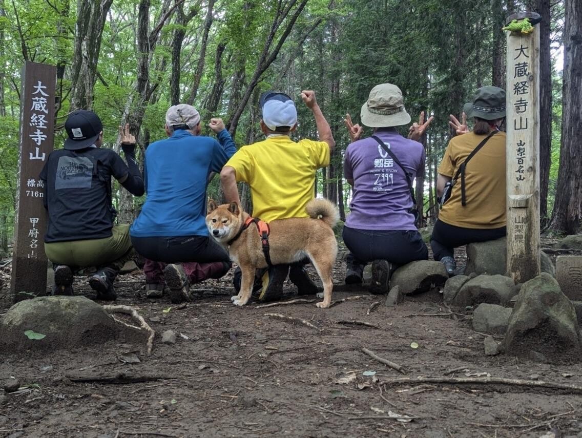 大蔵経寺山・深草山・板垣山・鹿穴・鬼山・要害山(丸山) / nakaekoさんの要害山・兜山・大蔵経寺山の活動データ | YAMAP / ヤマップ