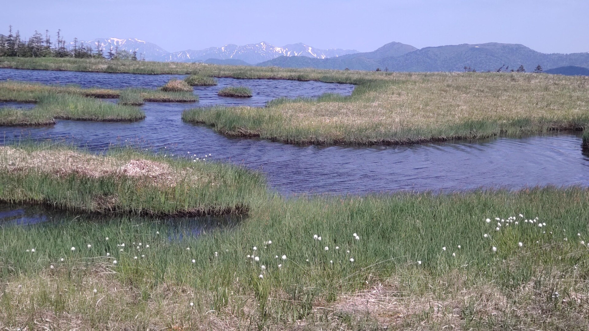 尾瀬🤩アヤメ平パラダイス ZUTTO行ってみたかった👍️ / yamanchuさんの尾瀬・燧ヶ岳の活動データ | YAMAP / ヤマップ