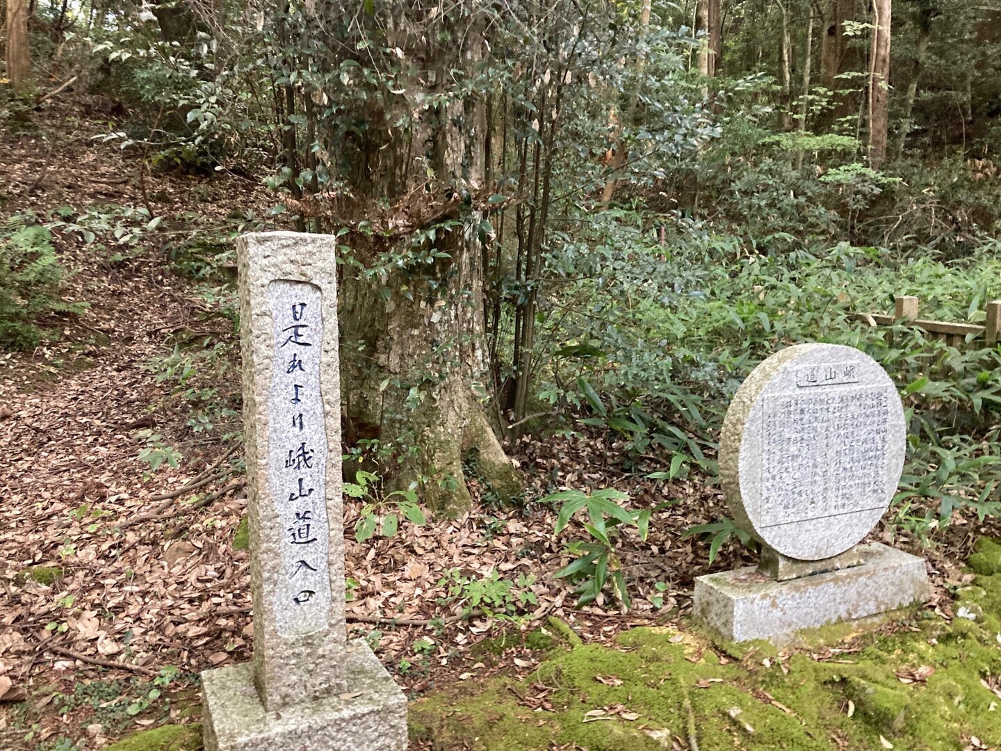 峨山道トレイル2023 往路 / AOさんの猿山の活動データ | YAMAP / ヤマップ