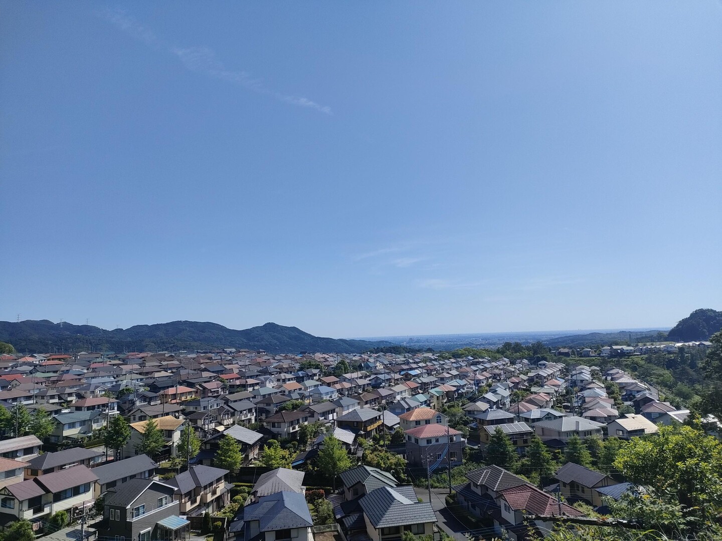 彩100＆Mile 応援トレラン / asukaさんの天覧山・多峯主山・天覚山の活動データ | YAMAP / ヤマップ