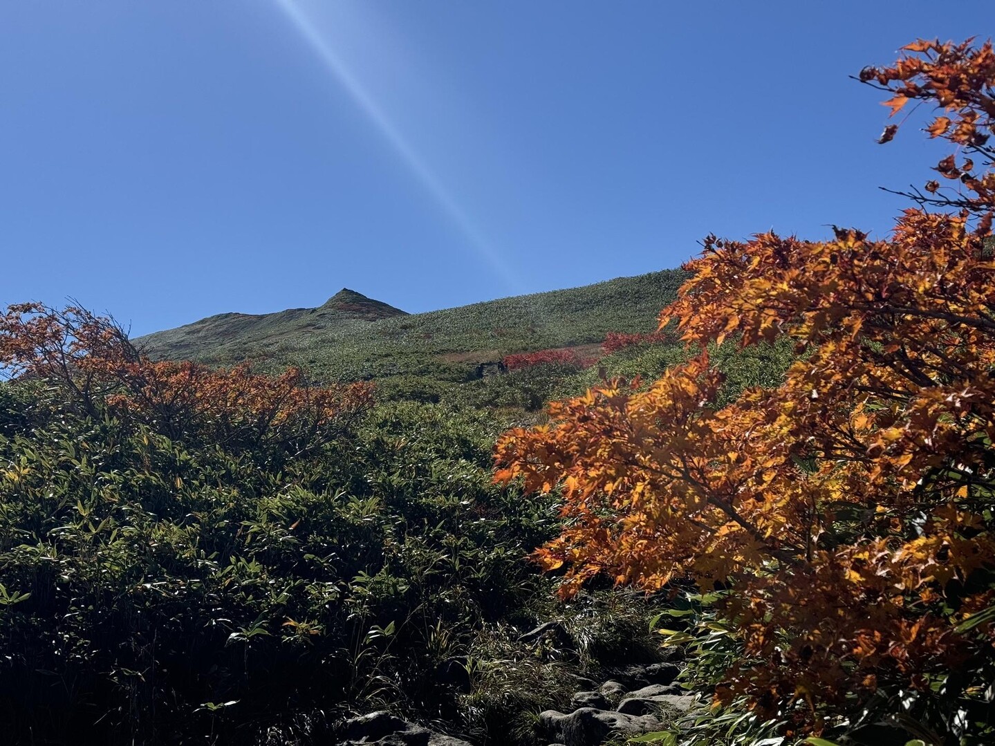 照り葉にさざめく月山 / saiさんの月山の活動データ | YAMAP / ヤマップ