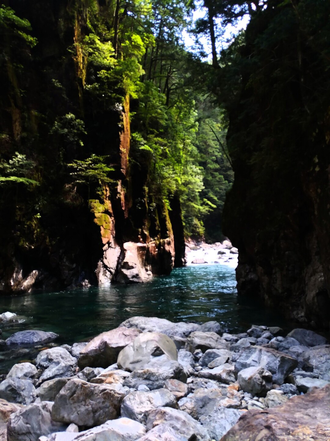 大紀町-2019-06-16 / kameさんの大紀町の活動日記 | YAMAP / ヤマップ