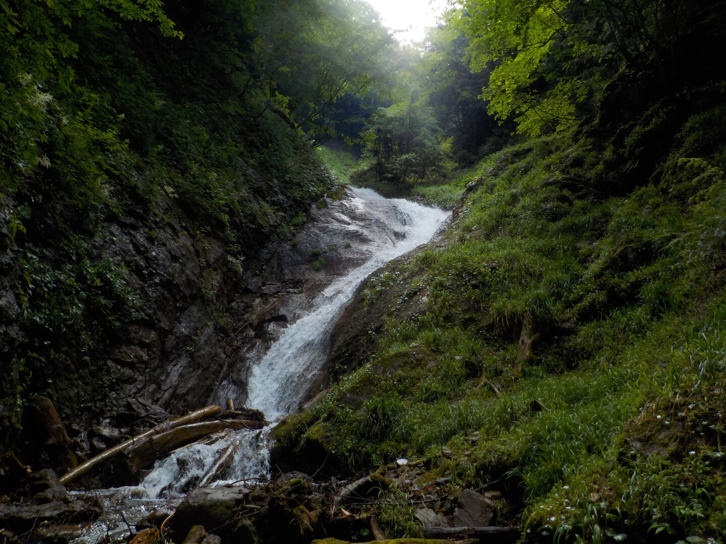 沢登り 尾瀬 根羽沢大薙沢 / Mt.yuさんの尾瀬・燧ヶ岳の活動データ | YAMAP / ヤマップ