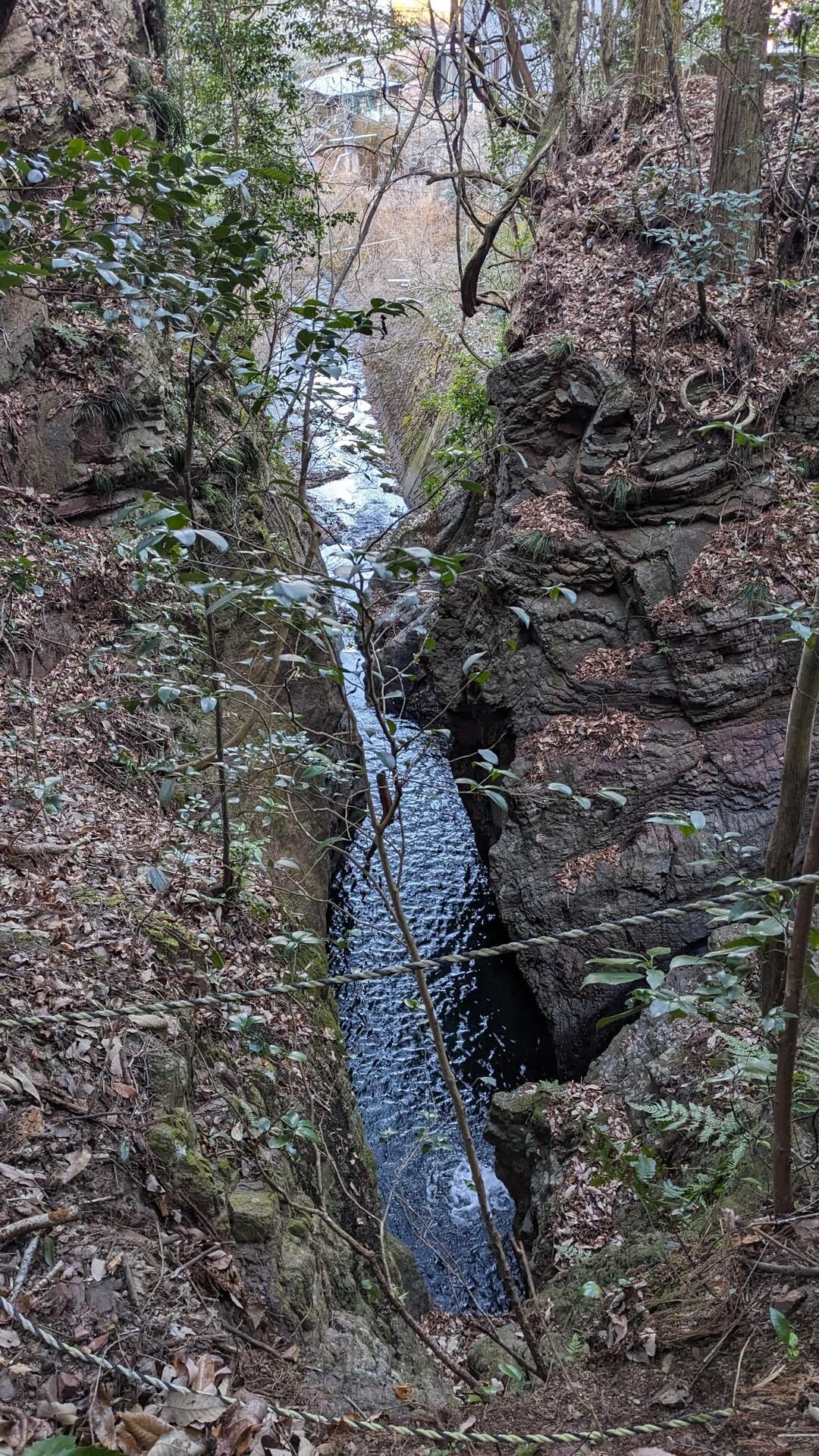 2025.01.25(土) 07:00 / ユーザーMaxさんのモーメント | YAMAP / ヤマップ