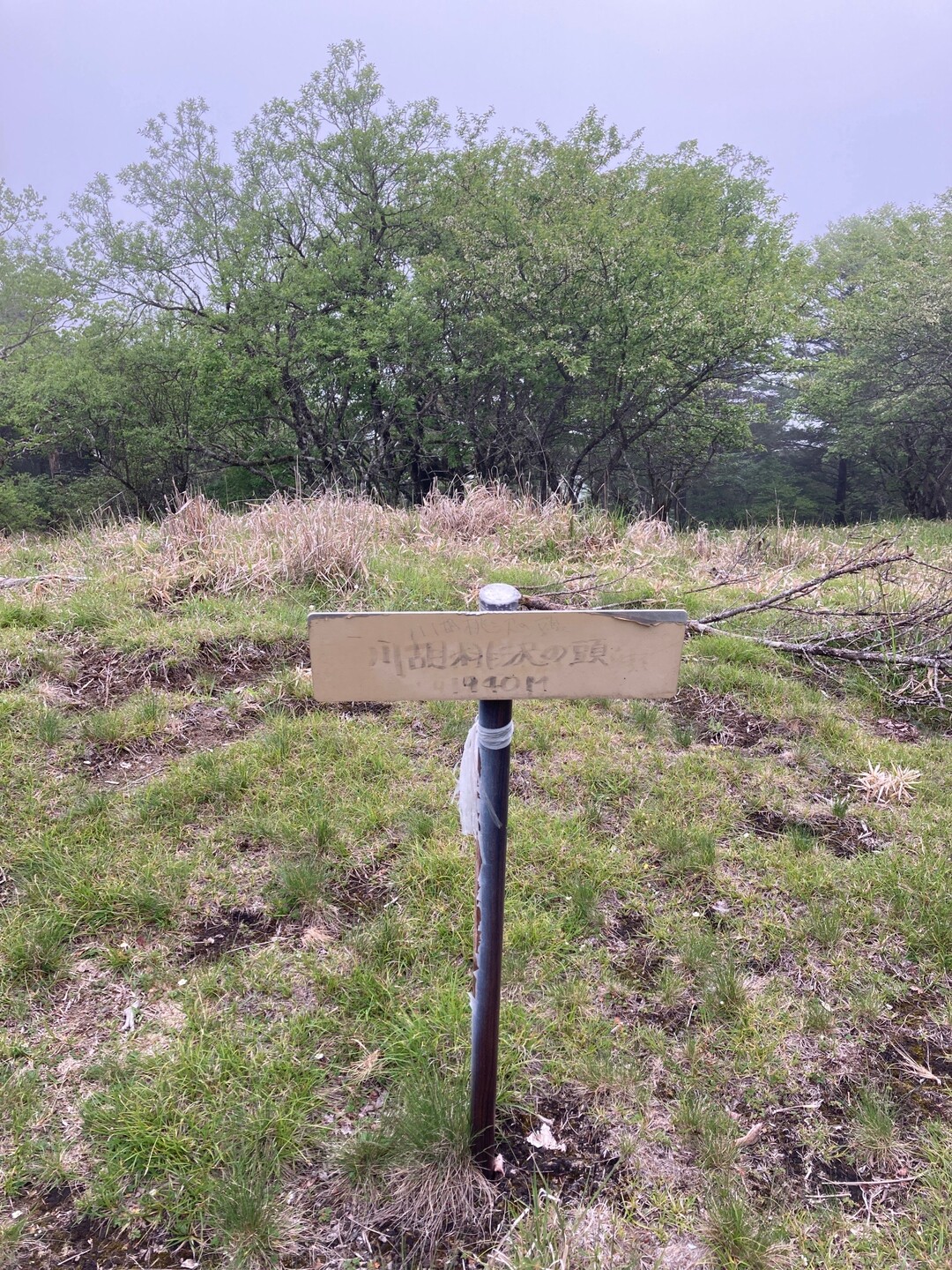 Holovitzさんの投稿したフィールドメモ | YAMAP / ヤマップ
