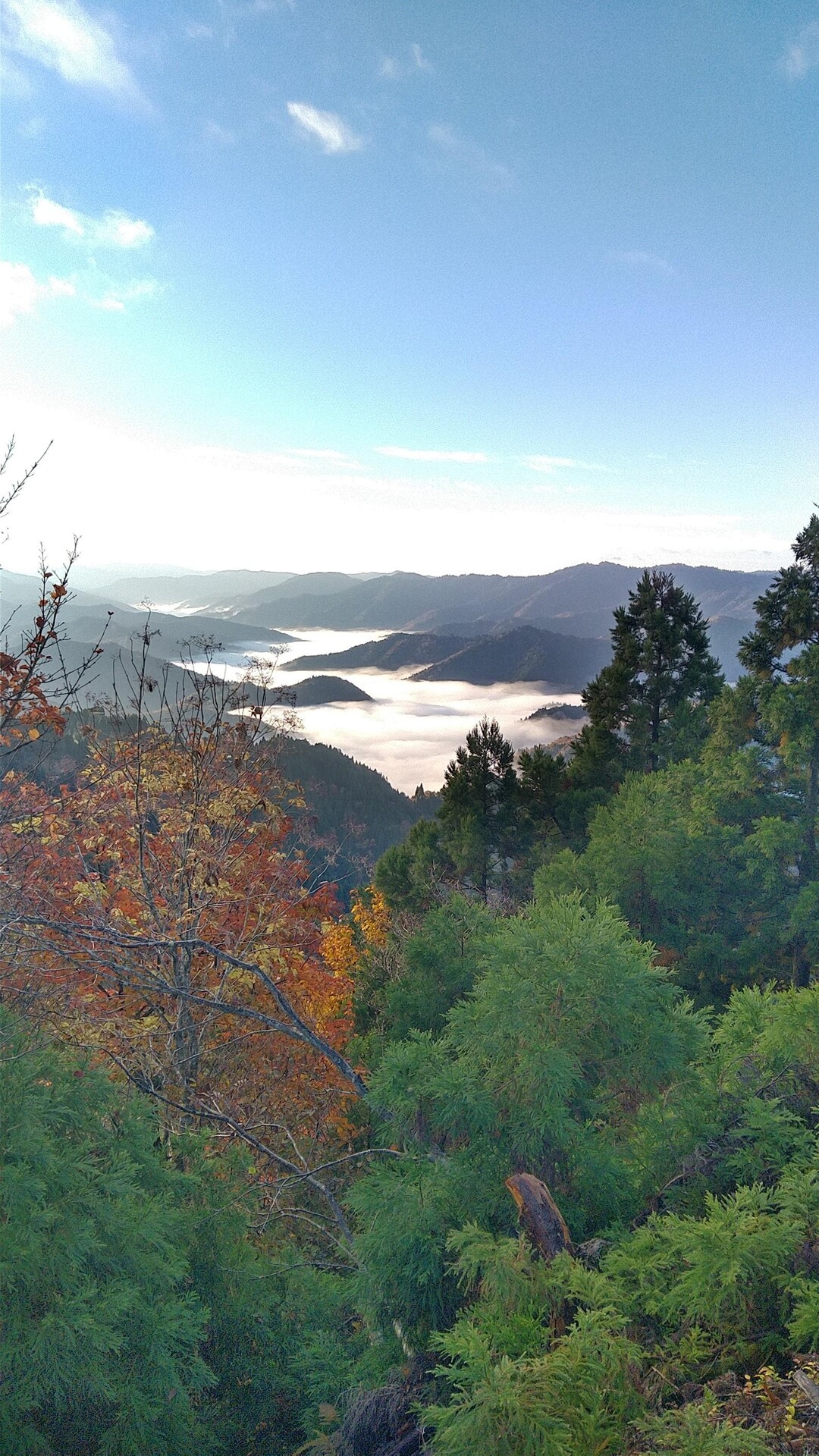 my鯖街道 / R.hondaさんのハイキングの活動データ | YAMAP / ヤマップ