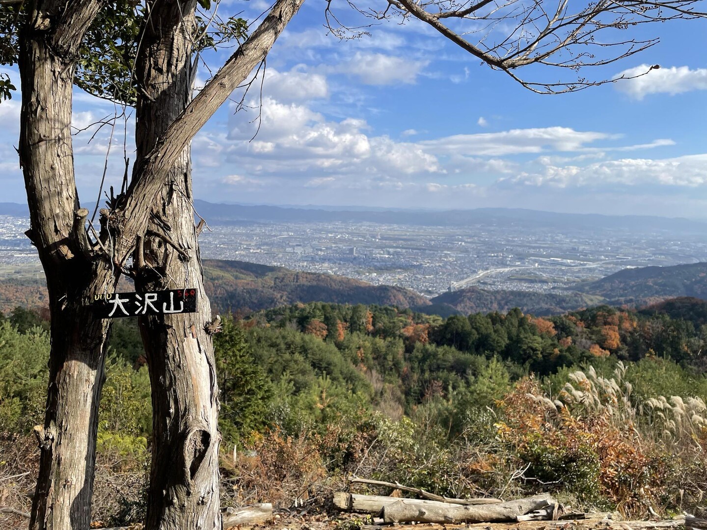 過去最速でポンポン山から大沢山まで往復！ / PONさんのポンポン山・釈迦岳・小塩山・若山の活動データ | YAMAP / ヤマップ