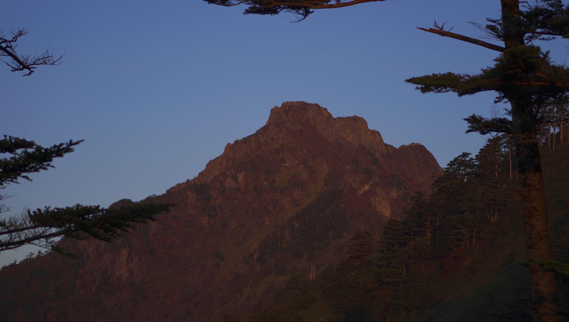 石鎚山 / FRVさんの石鎚山・堂ヶ森・二ノ森の活動データ | YAMAP / ヤマップ