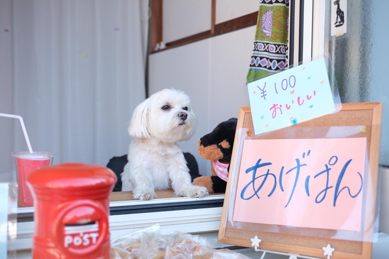 色づく御岳山 / NEWWALLさんの御岳山 下山メシ聖地巡礼マップ#1の活動日記 | YAMAP / ヤマップ