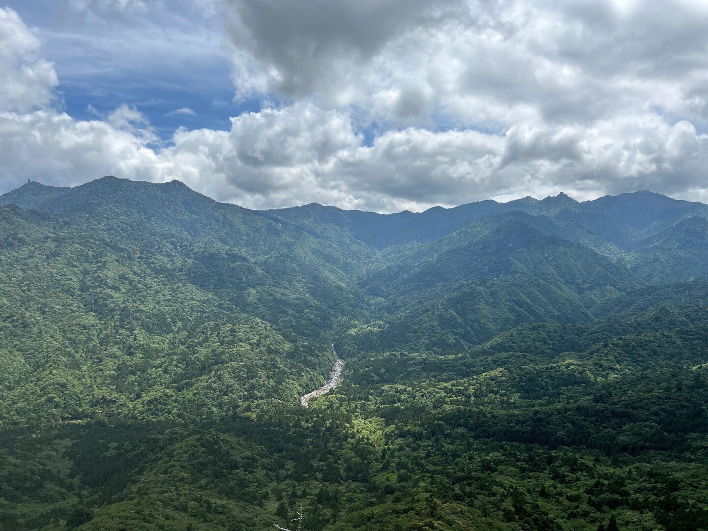 初の屋久島その1・白谷雲水峡から太鼓岩 / mockyさんの屋久島・宮之浦岳の活動データ | YAMAP / ヤマップ