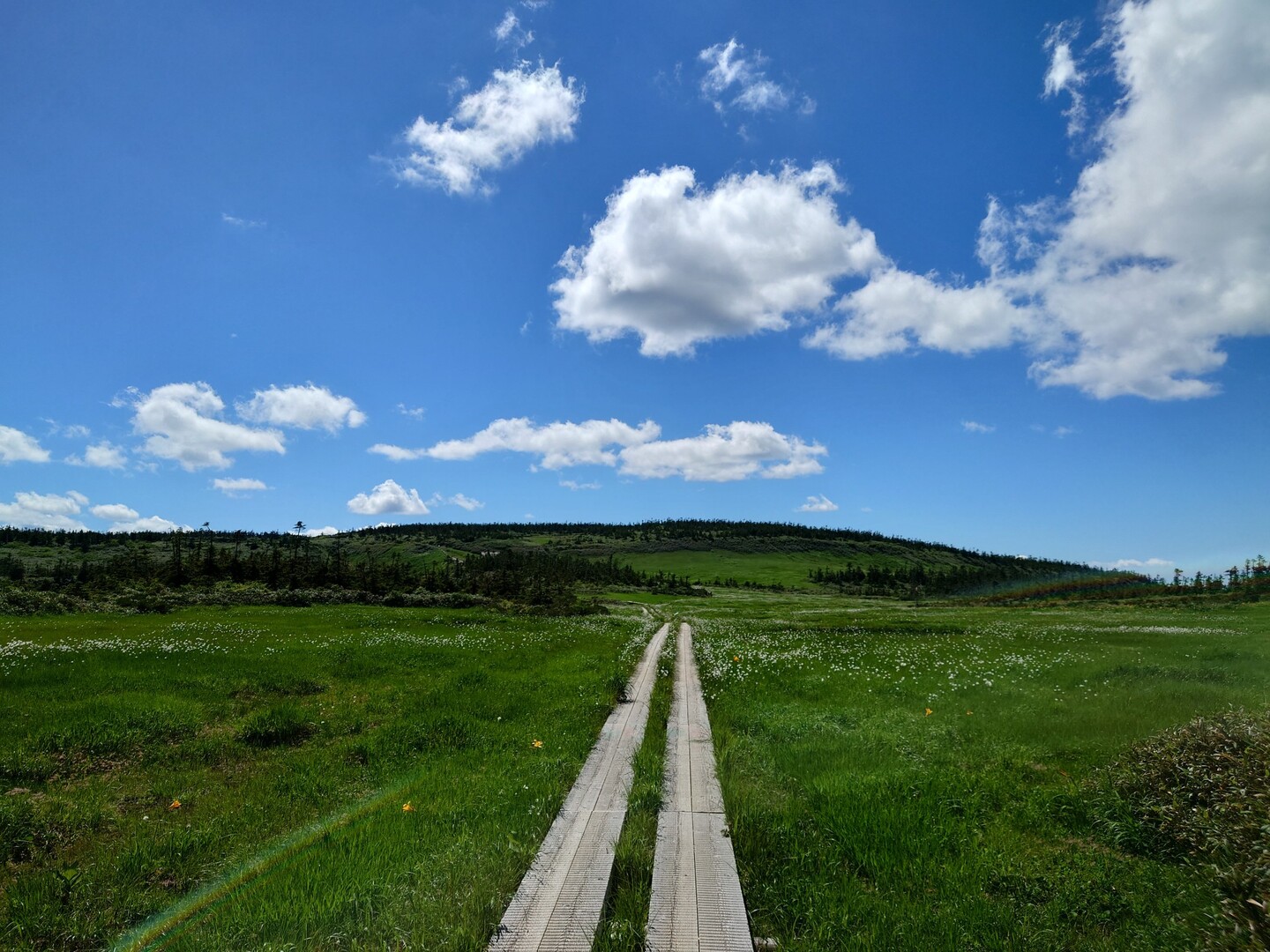初めての源太森・八幡平 / kozoさんの八幡平・源太森・安比岳の活動データ | YAMAP / ヤマップ