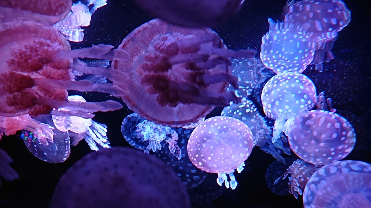 Rei.hのページ | YAMAP / ヤマップ