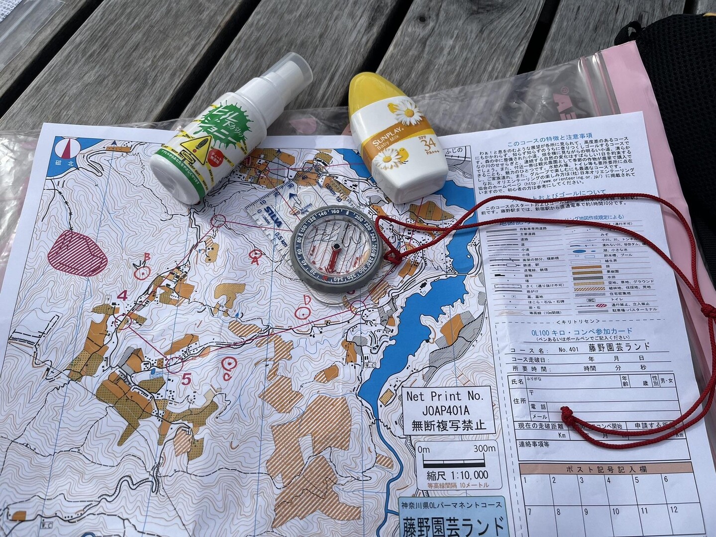 地図読んでGOGO‼️ / ピロさんの高尾山・陣馬山・景信山の活動データ | YAMAP / ヤマップ