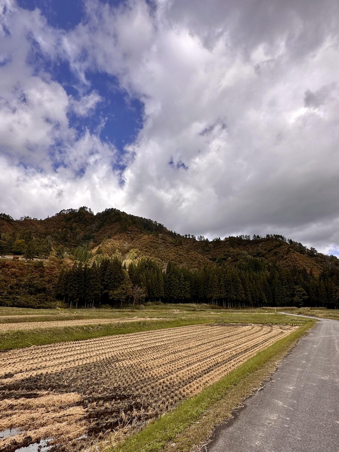 要害山 / PJさんの浅草岳・鬼ヶ面山の活動データ | YAMAP / ヤマップ