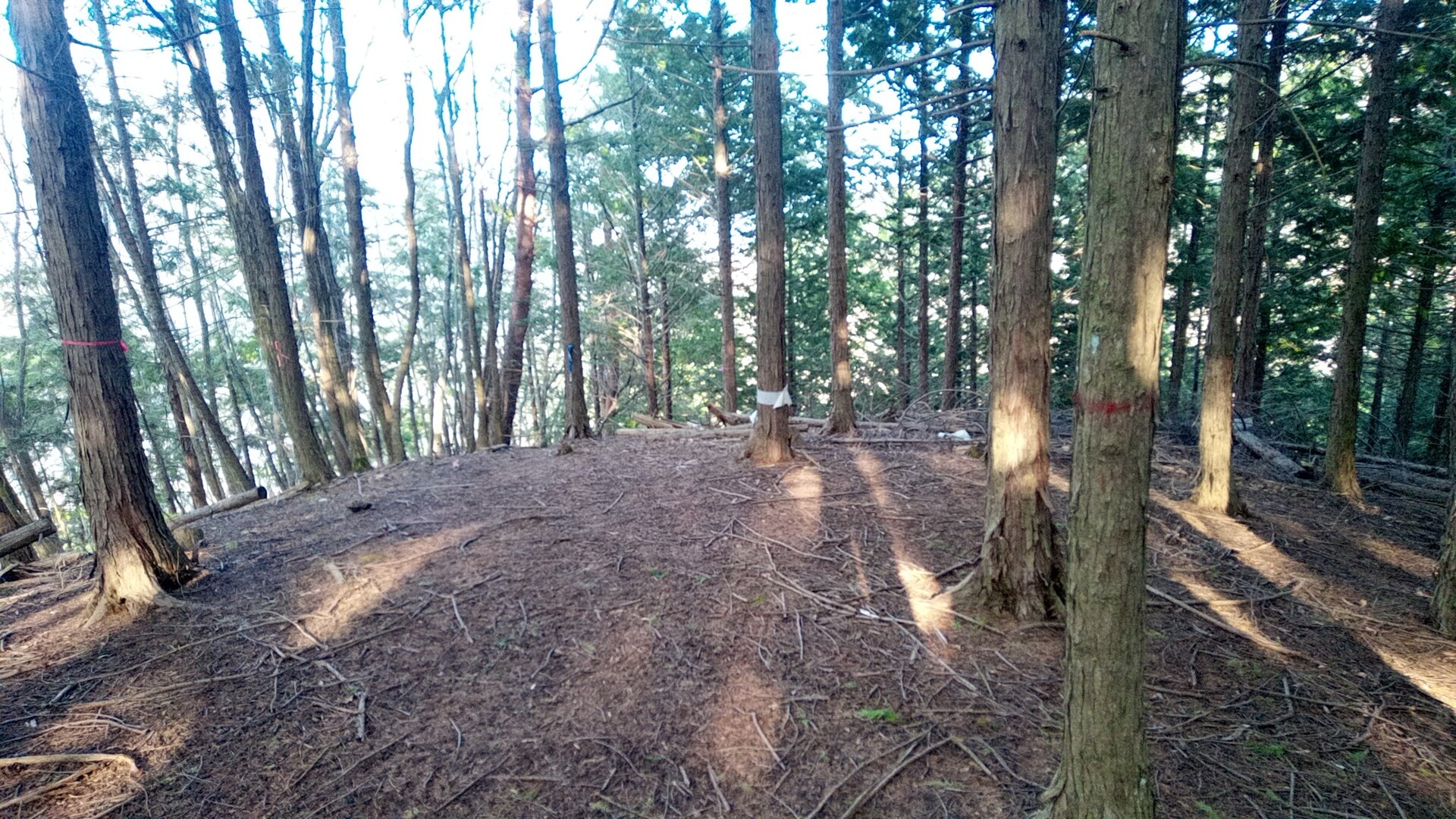 taiidanaさんの投稿したフィールドメモ | YAMAP / ヤマップ