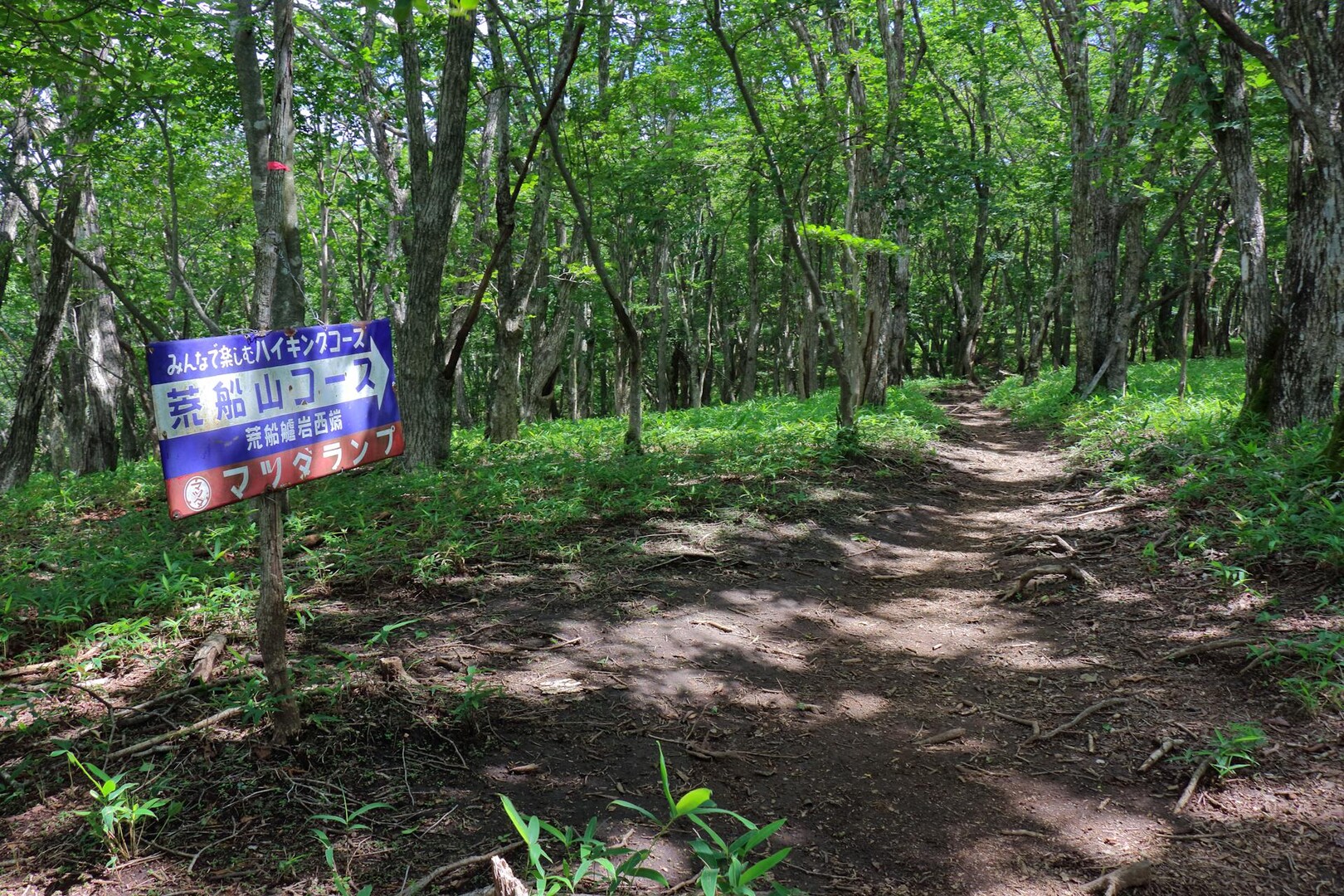 荒船山（経塚山） / bysunさんの荒船山・物語山・大屋山の活動データ | YAMAP / ヤマップ