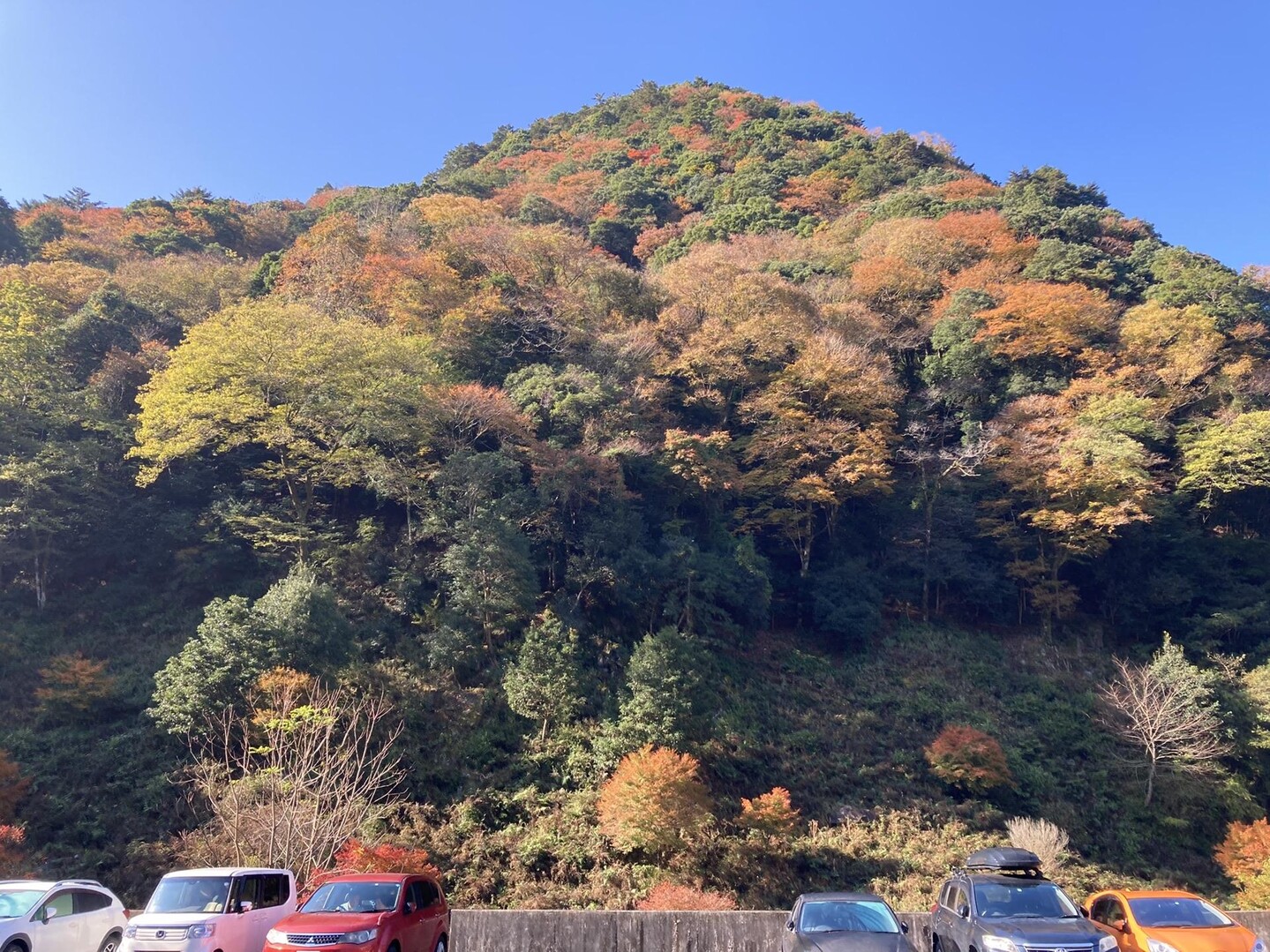 長坂山・赤目四十八滝-2022-11-12 / ドルーピーさんの長坂山・赤目四十八滝の活動データ | YAMAP / ヤマップ