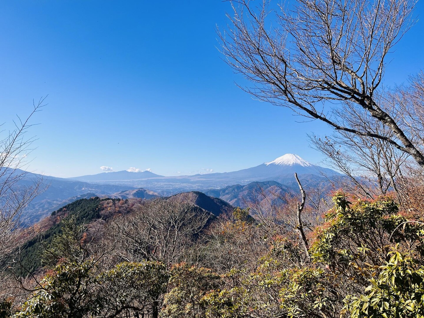 檜岳・塔ノ岳 / muramiさんの塔ノ岳・丹沢山・蛭ヶ岳の活動日記 | YAMAP / ヤマップ