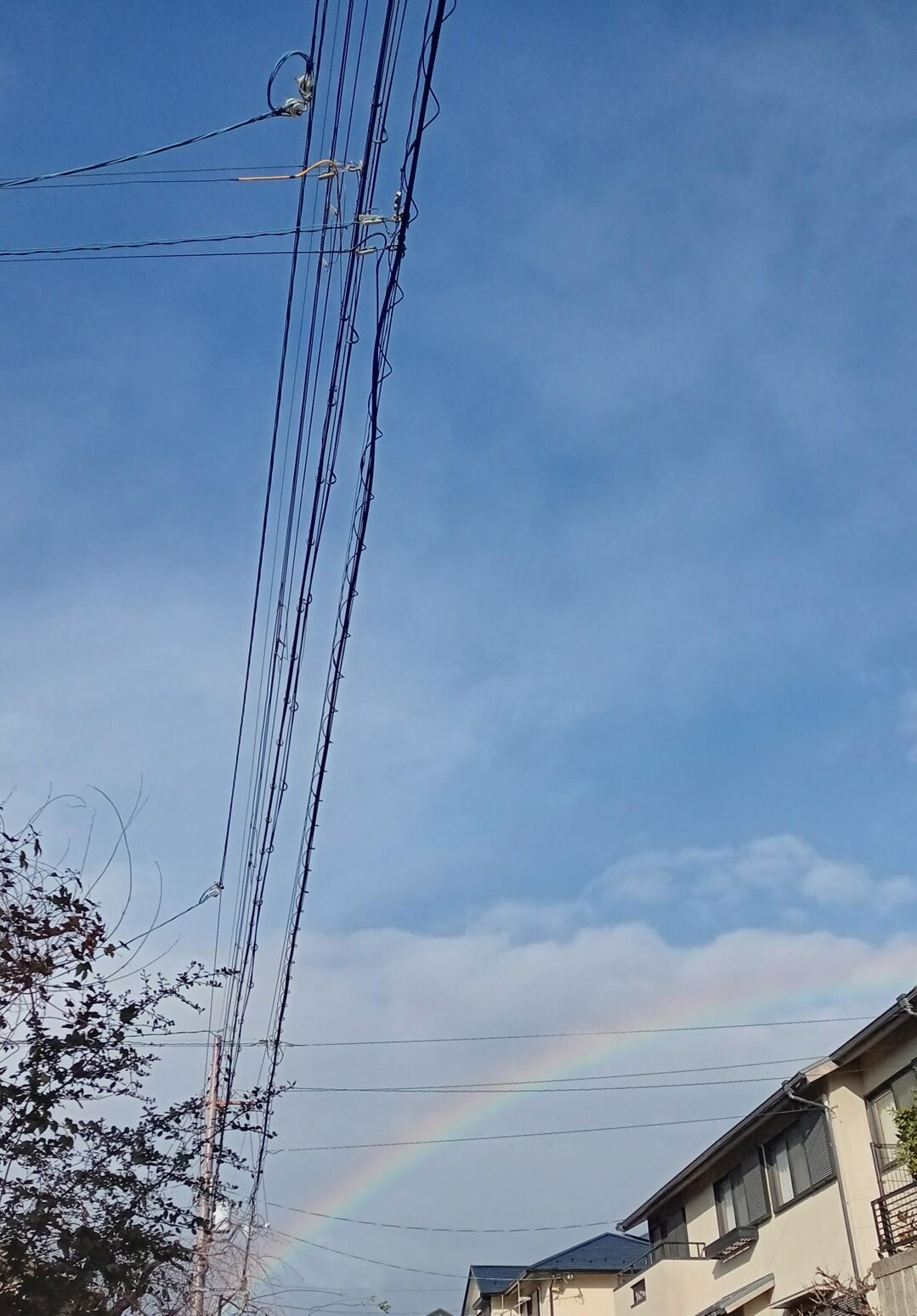 野外授業の見回り 虹が出てる 🌸🌸 ... / yuusenさんのモーメント | YAMAP / ヤマップ