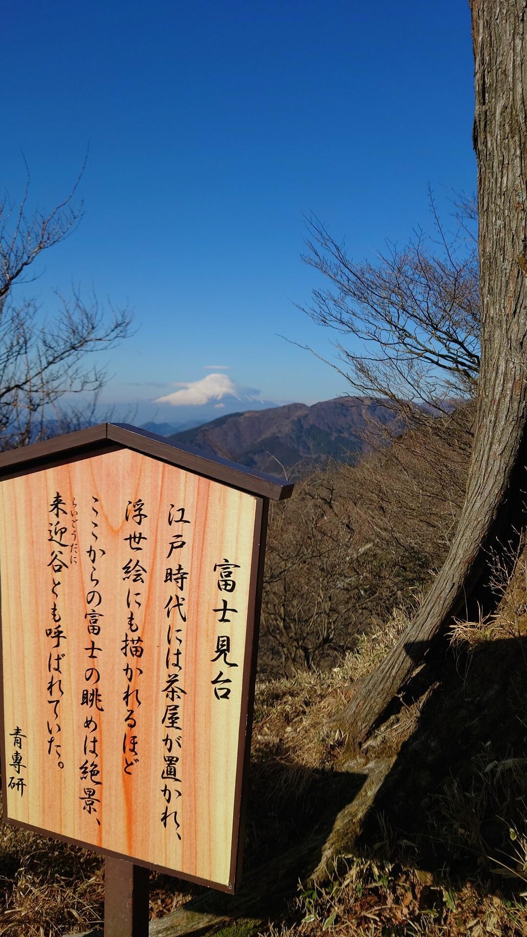 年明け初登山は大山 / 永遠の鐘さんの大山の活動データ | YAMAP / ヤマップ