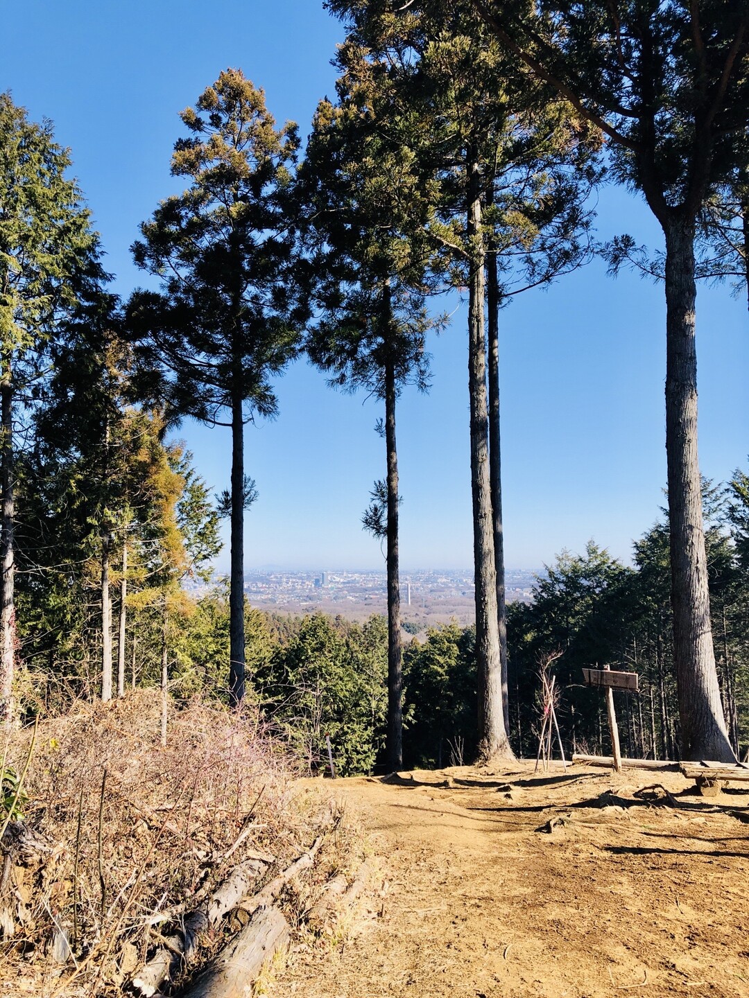 南高尾(峰の薬師→草戸山→高尾山口) / yuu_oさんの高尾山・陣馬山・景信山の活動日記 | YAMAP / ヤマップ