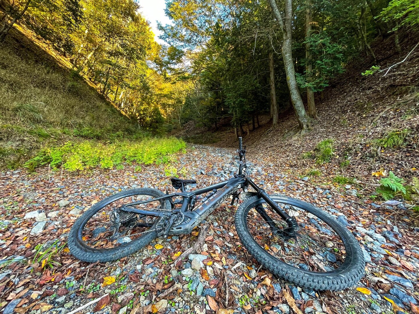 MTB 2022-11-06 TD山 私... / のんたんさんのモーメント | YAMAP / ヤマップ