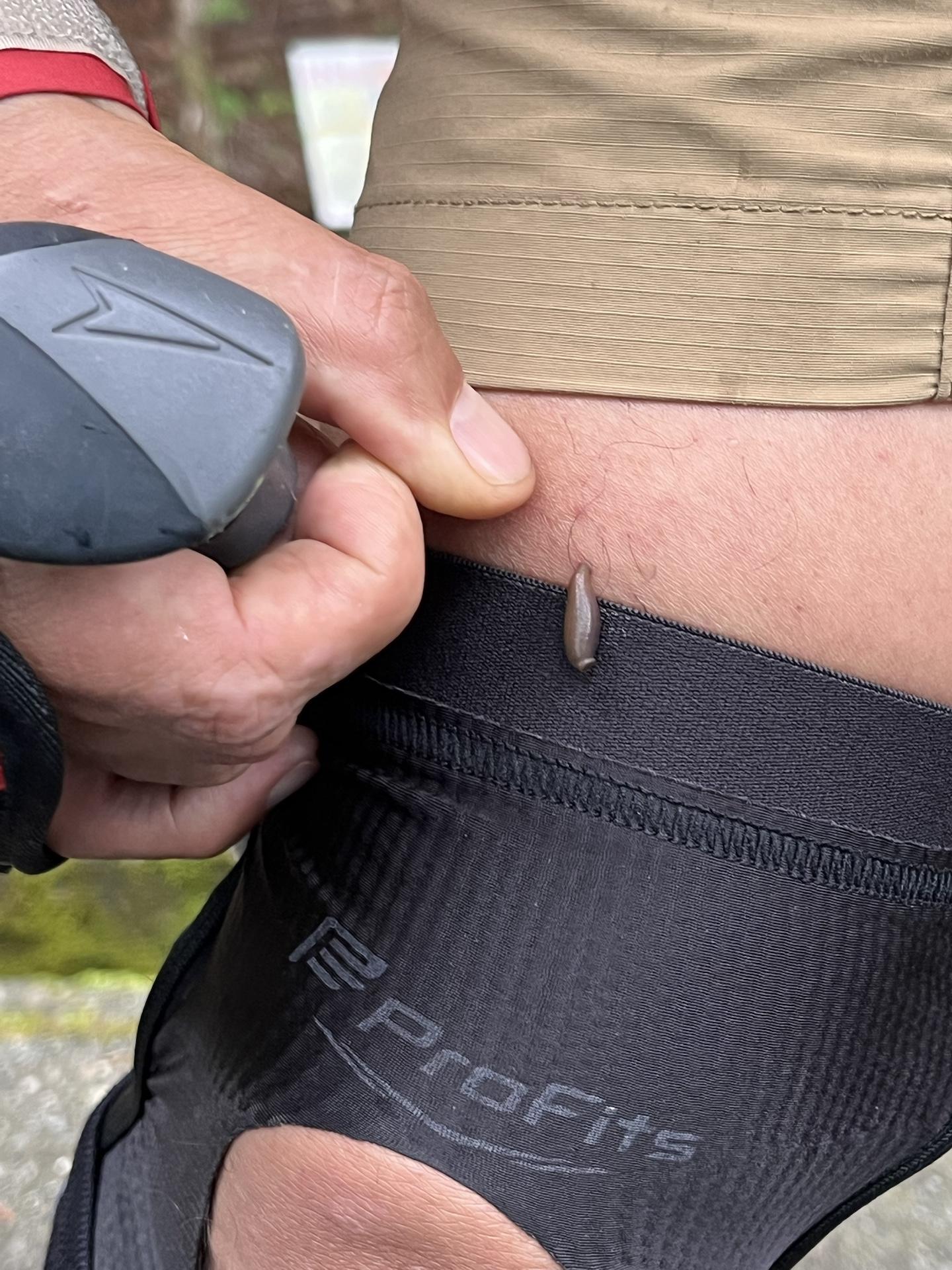 ヒルさがりの…平山明神山・岩古谷山 / monさんの宇連山・鳳来寺山・岩古谷山の活動データ | YAMAP / ヤマップ