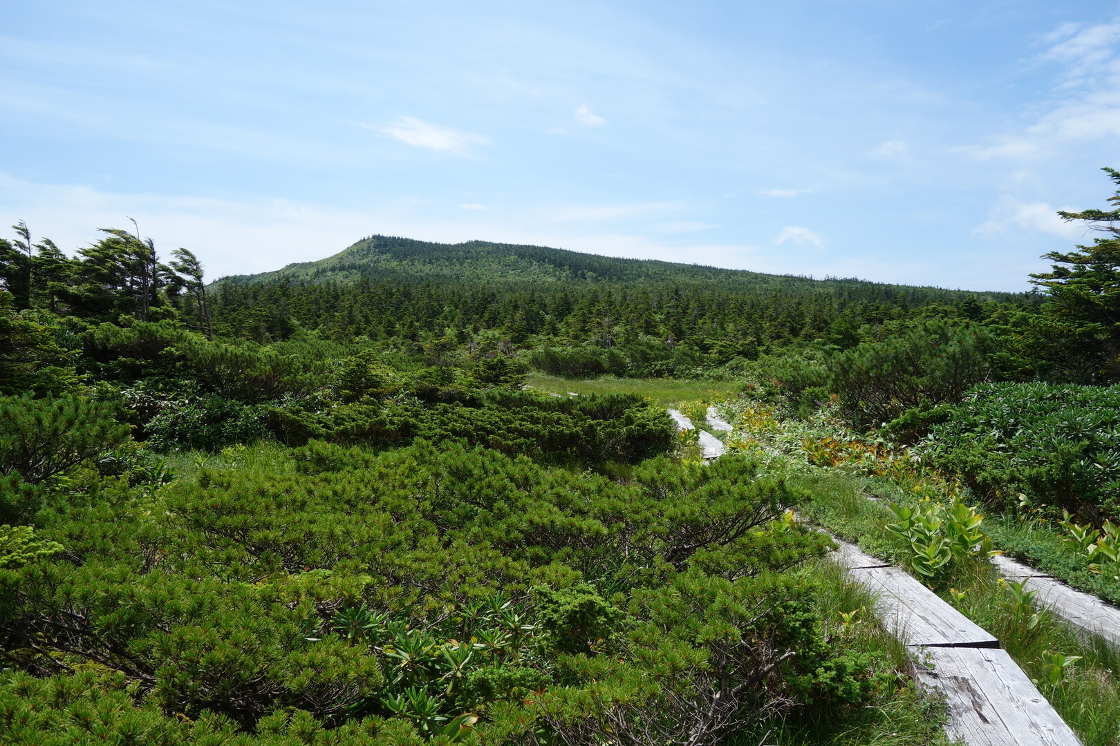 2020/08/10 東大巓 / YOさんの吾妻山・一切経山の活動データ | YAMAP / ヤマップ