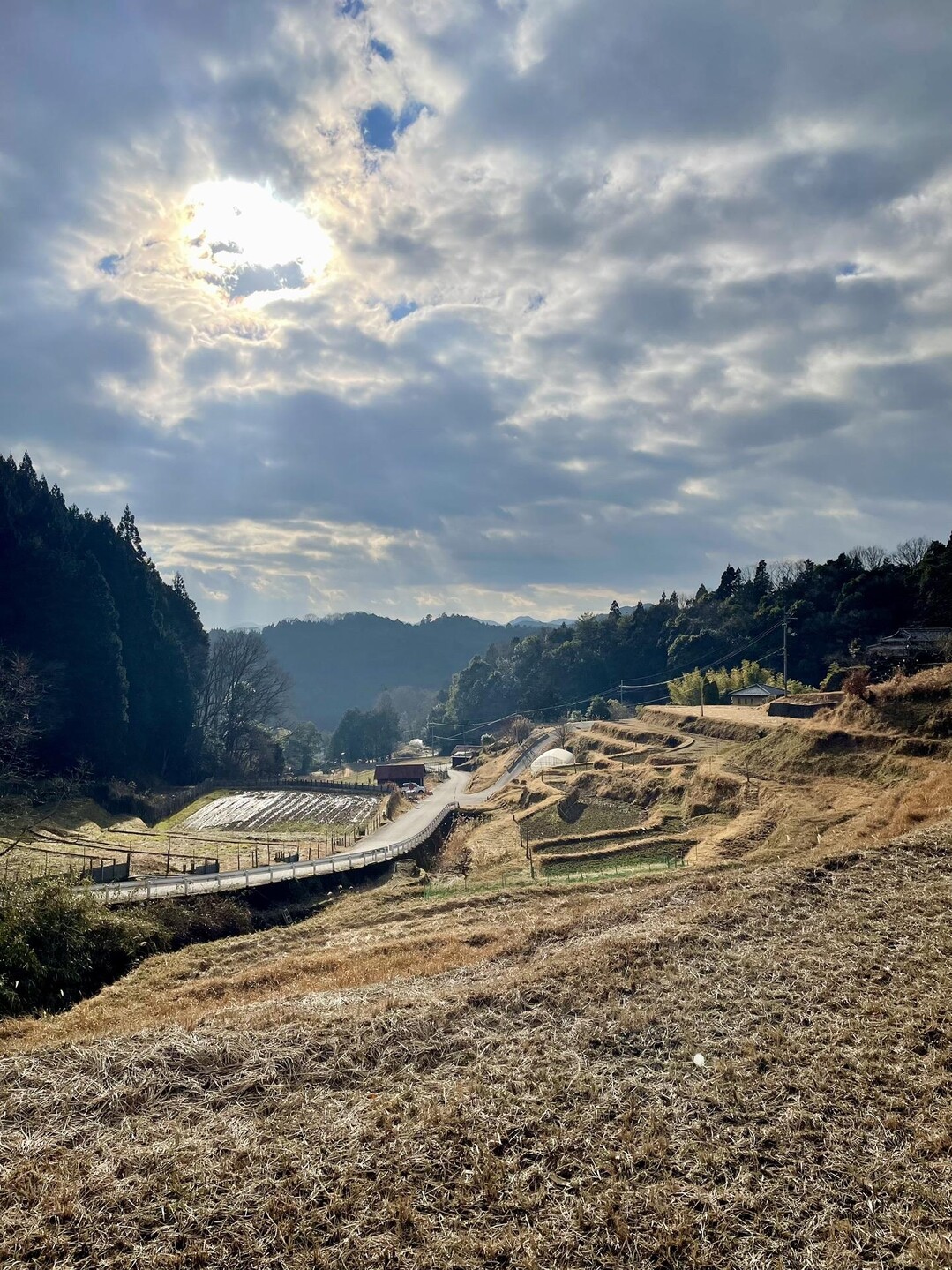 高峰山・大平山〜グレーピーク🏔️〜 / taeeeee-fさんの三郎岳・高城岳の活動データ | YAMAP / ヤマップ